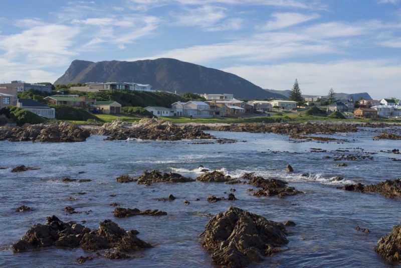 Gansbaai South Africa - About The Area - Shark Cage Diving Mecca!