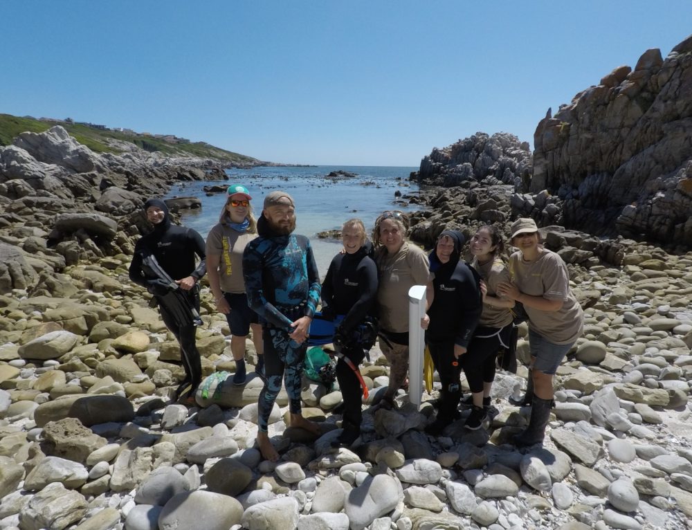 10 Ways Humans Depend On The Oceans | The Importance Of The Ocean